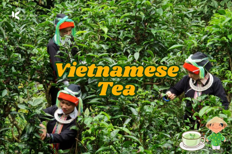The truth behind Vietnamese Tea: What you didn't know!